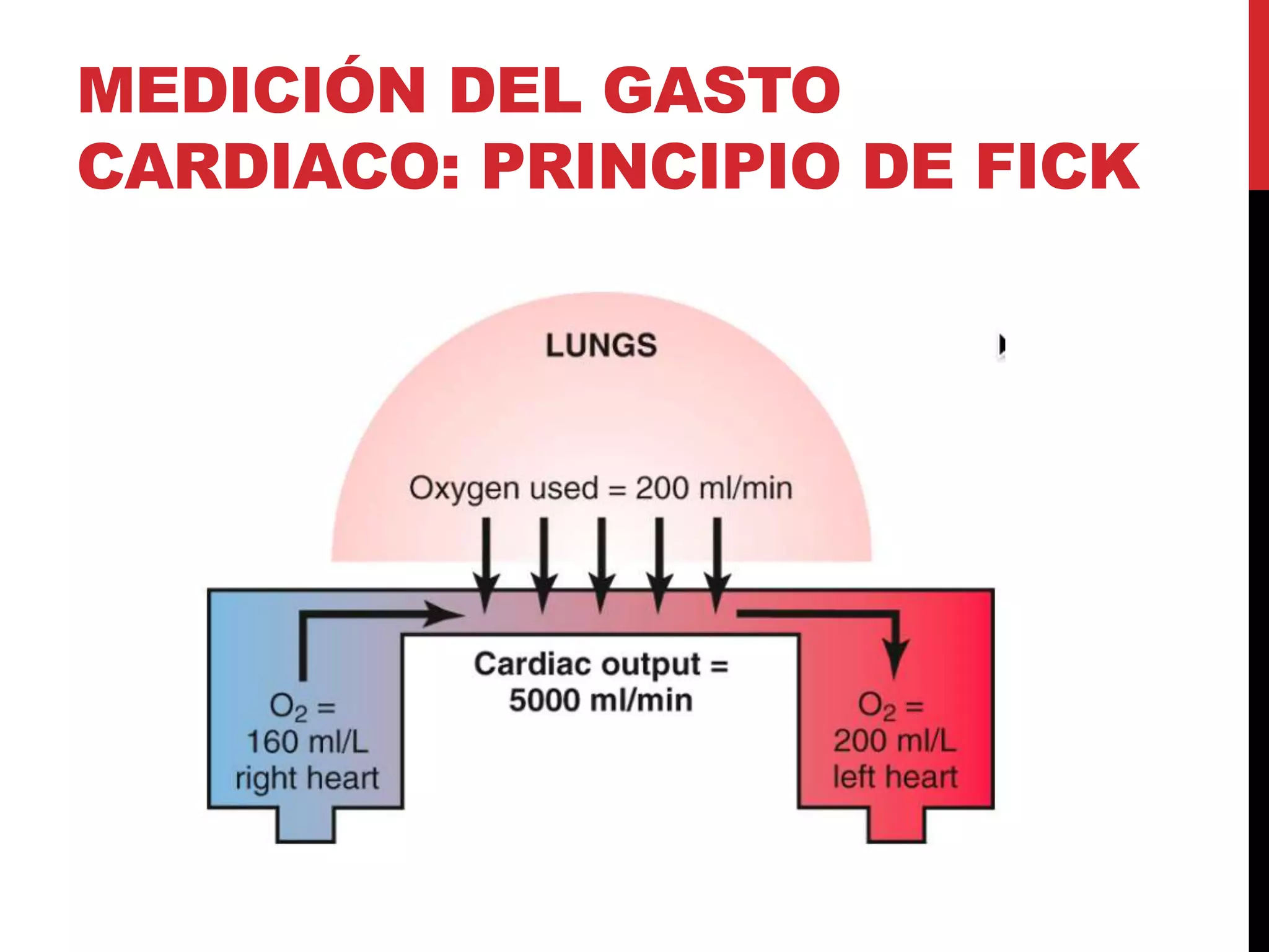 Gasto cardiaco | PPT