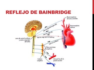 Gasto cardiaco | PPTX