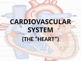 Gas Transport - Cardiovascular system anatomy | PPTX