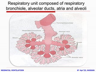 GAS TRANSPORT- NEONATAL VENTILATION HASSAN-2023.pptx