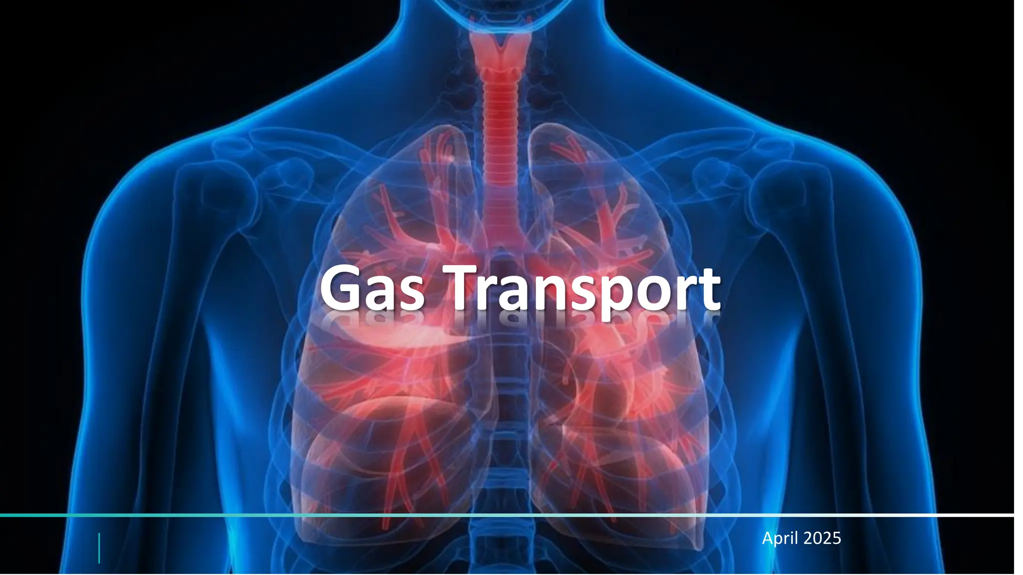Gas transport . Respiratory System .pdf