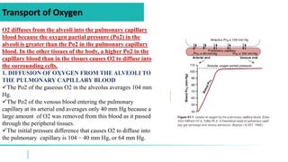 gas transport Respiratory System .pdf