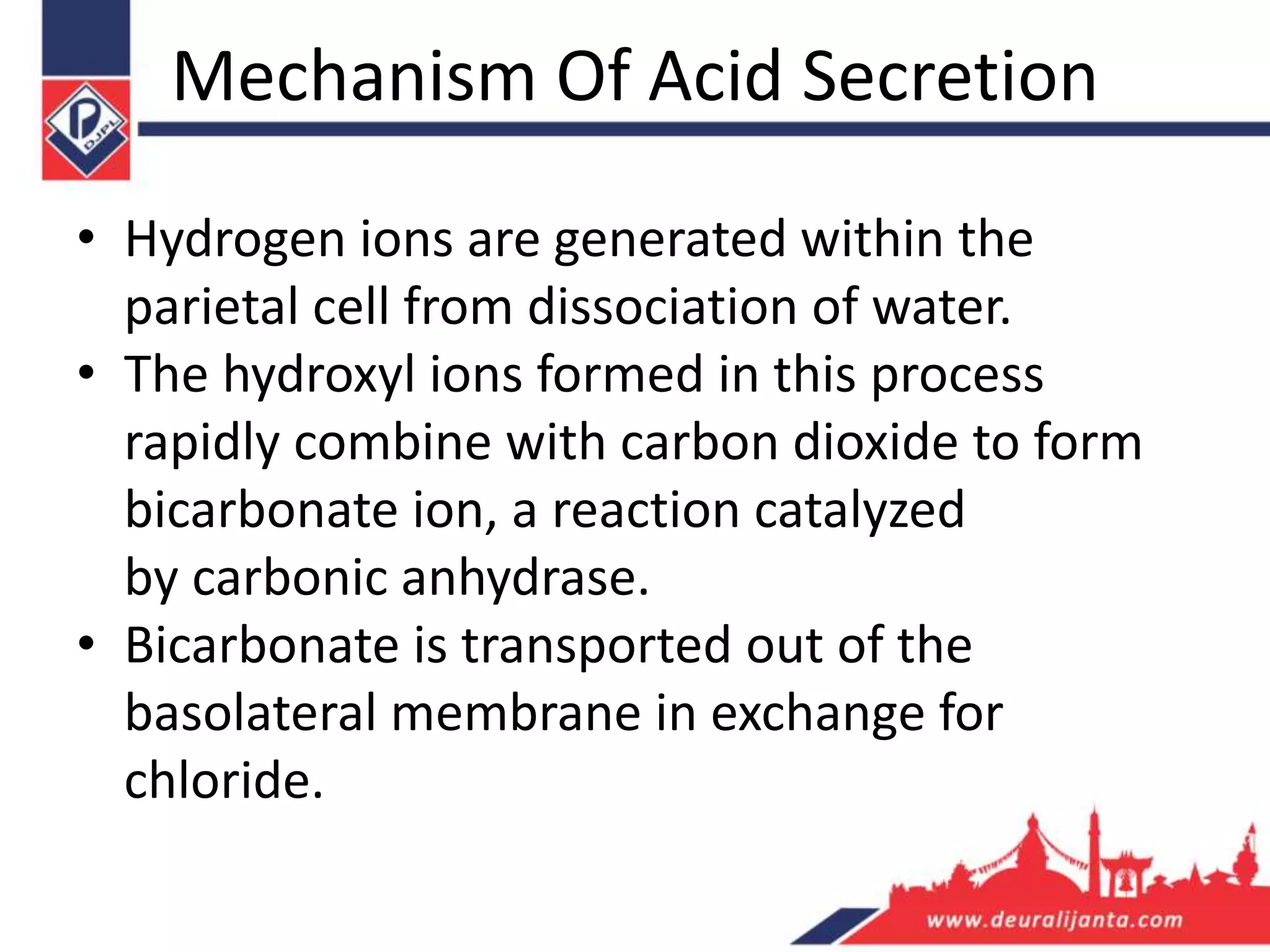 Gastric acid secretion | PPTX