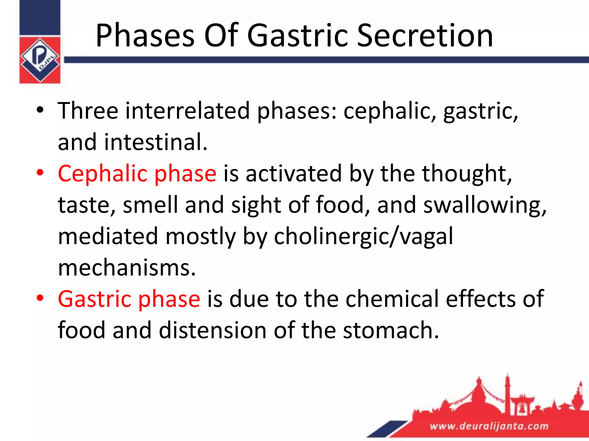 Gastric acid secretion | PPTX