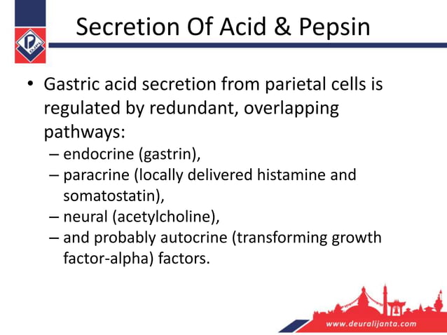 Gastric acid secretion | PPTX | Digestive Disorders | Diseases and ...