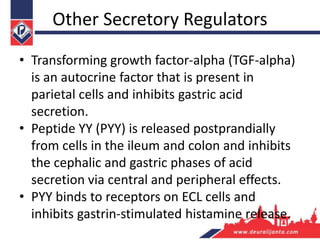 Gastric acid secretion | PPTX