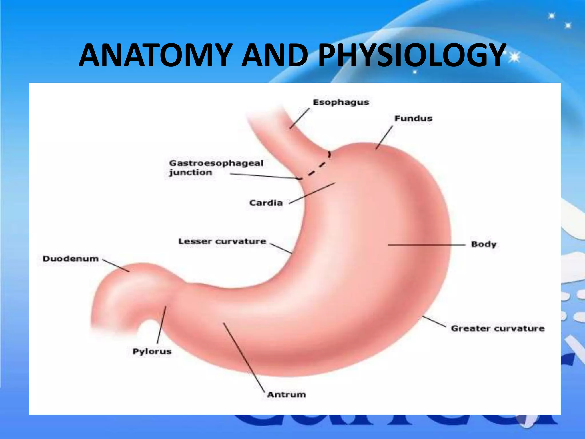 Gastric cancer | PPTX