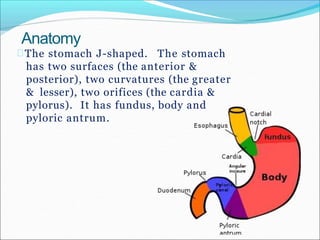 gastric cancer.pptx