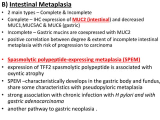 Gastric Cancer - Pathology Seminar | PPTX