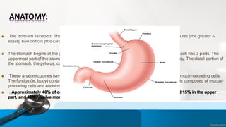 Gastric carcinoma CASE PRESENTATION, MANAGEMENT | PDF