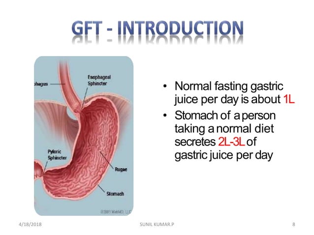 Gastric contents examination | PPTX | Ear, Nose and Throat Conditions ...