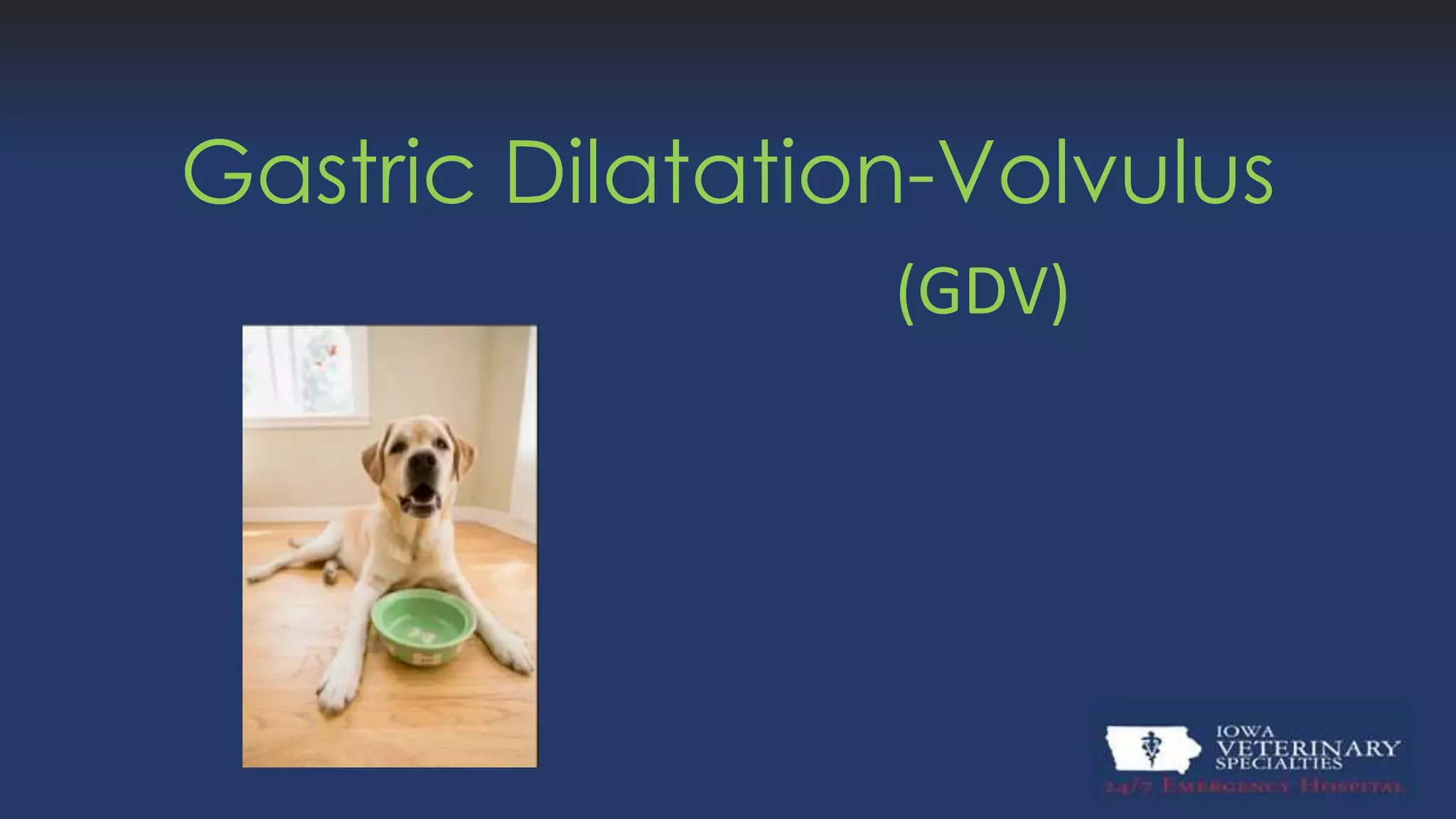 Gastric dilatation volvulus | PPTX