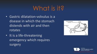 Gastric dilatation volvulus | PPTX