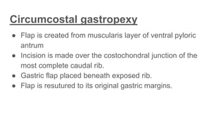 GASTRIC DILATATION AND VOLVULUS IN DOGS.pptx