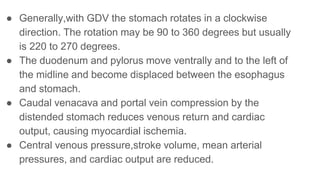 GASTRIC DILATATION AND VOLVULUS IN DOGS.pptx