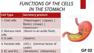 Gastric functions.pptx. . | PPT
