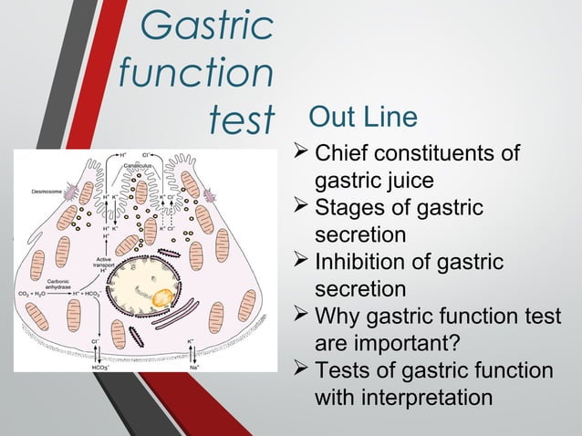 Gastric and Pancreatic function tests | PPT | Digestive Disorders ...