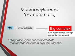 Gastric and Pancreatic function tests | PPT