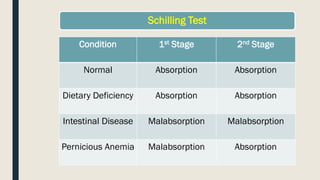 Gastric function test 2 | PDF