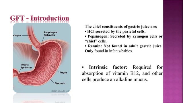 Gastric function test | PPTX | Digestive Disorders | Diseases and ...