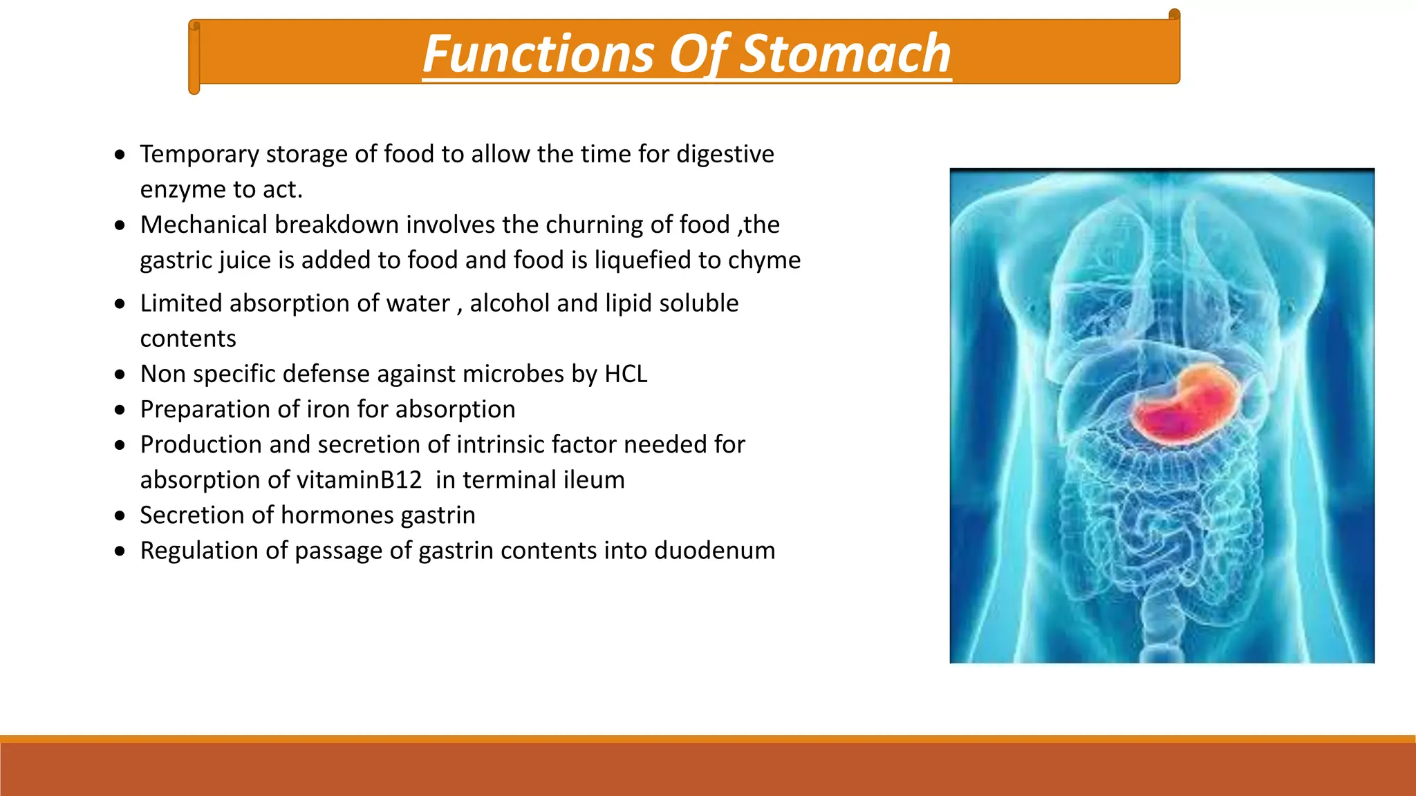 Gastric Function Test.pptx