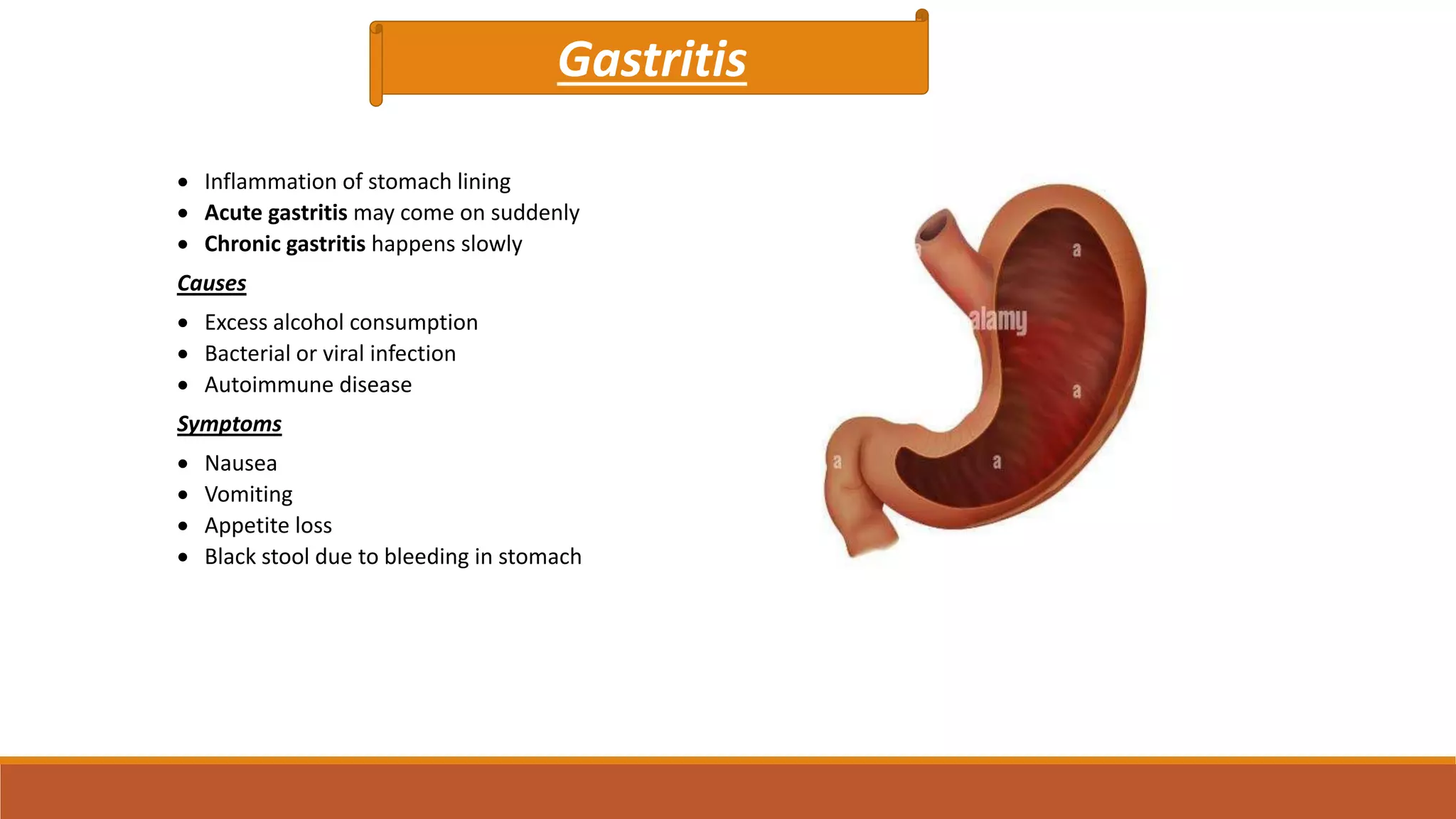 Gastric Function Test.pptx