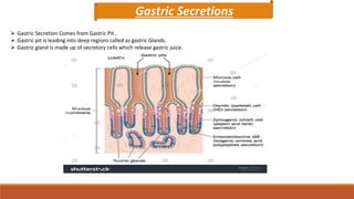 Gastric Function Test.pptx
