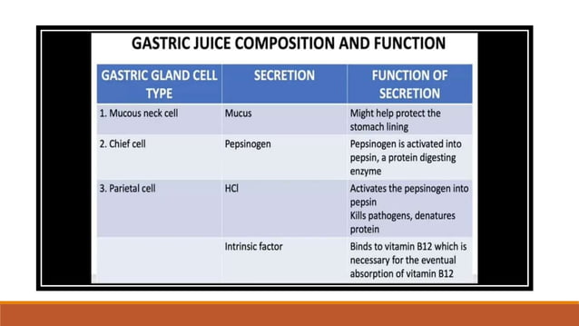 Gastric Function Test.pptx