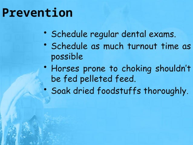 Gastric Lavage and choking in Large Animals.pptx