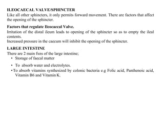 GASTRIC MOTILITY.pdf