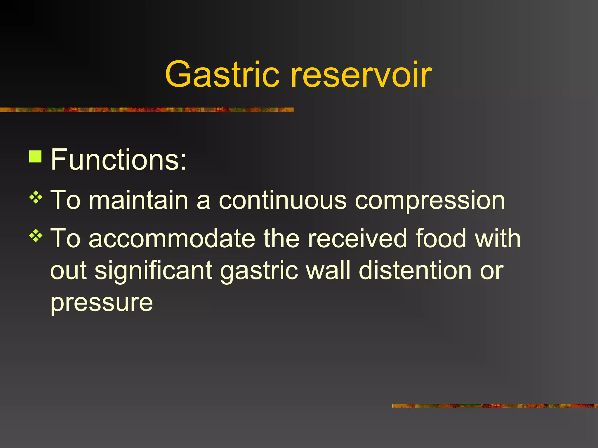 Gastric motility and secretion | PPT