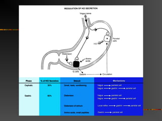 Gastric motility and secretion | PPT
