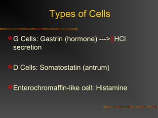 Gastric motility and secretion | PPT