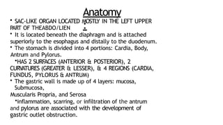 Gastric outlet obst and anatomy of stomach . PPT.pptx