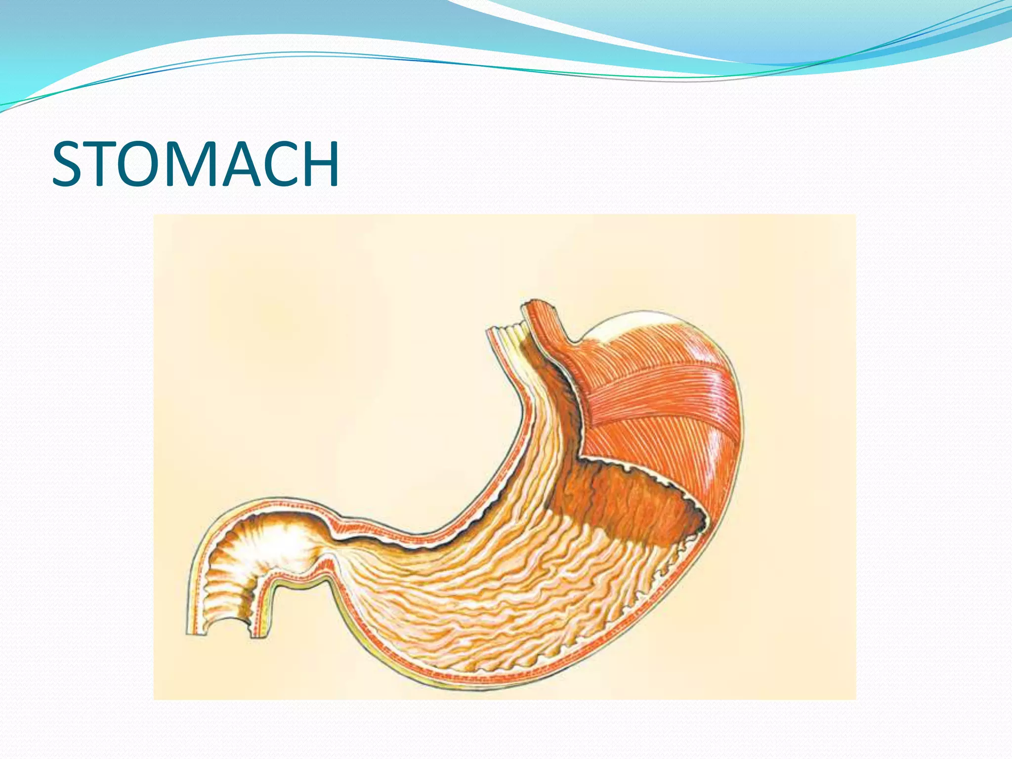 Gastric outlet obstruction | PPTX