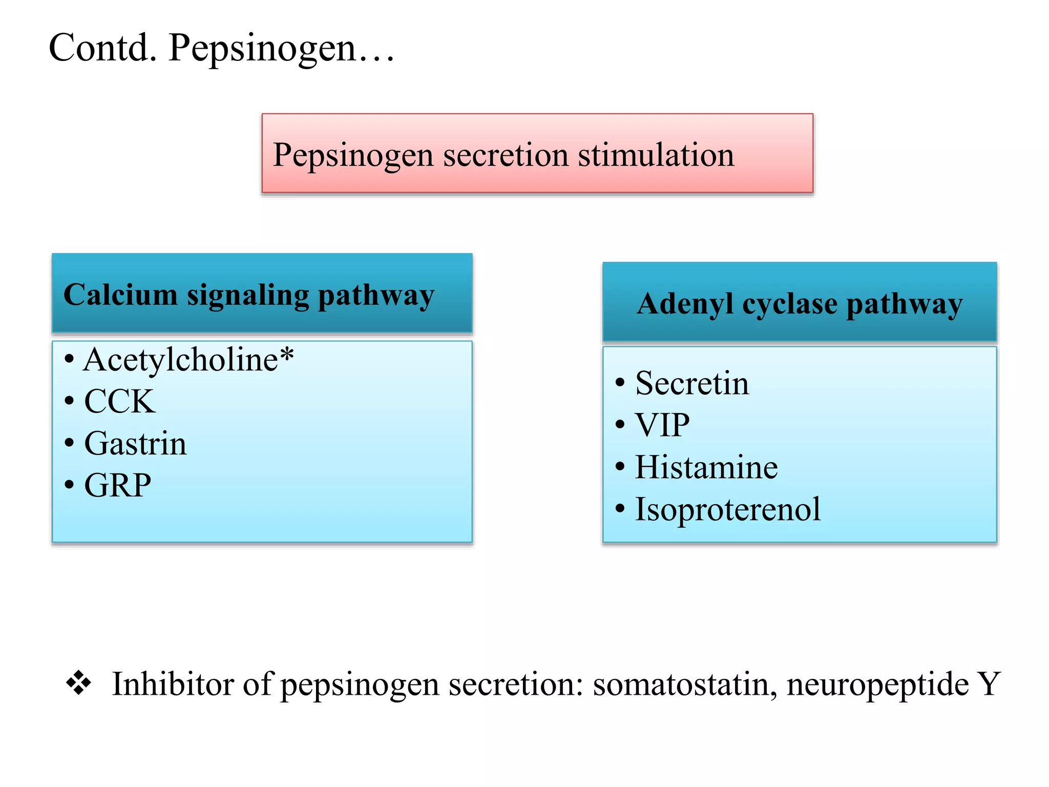 Gastric secretion.pptx