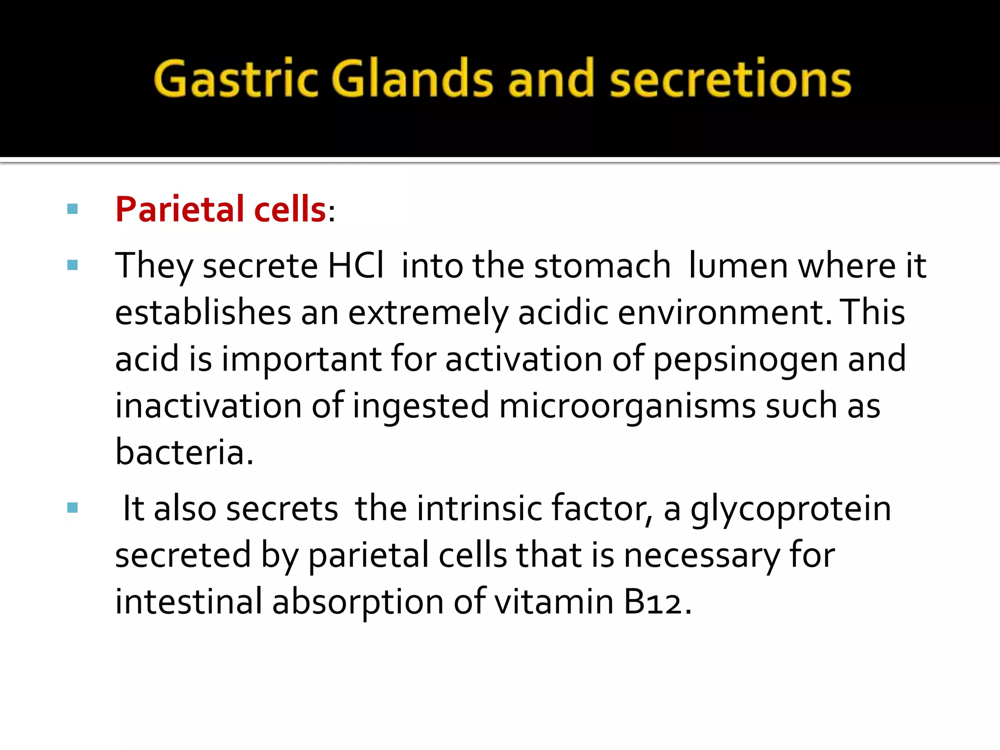 Gastric secretion &and its regulation | PPTX