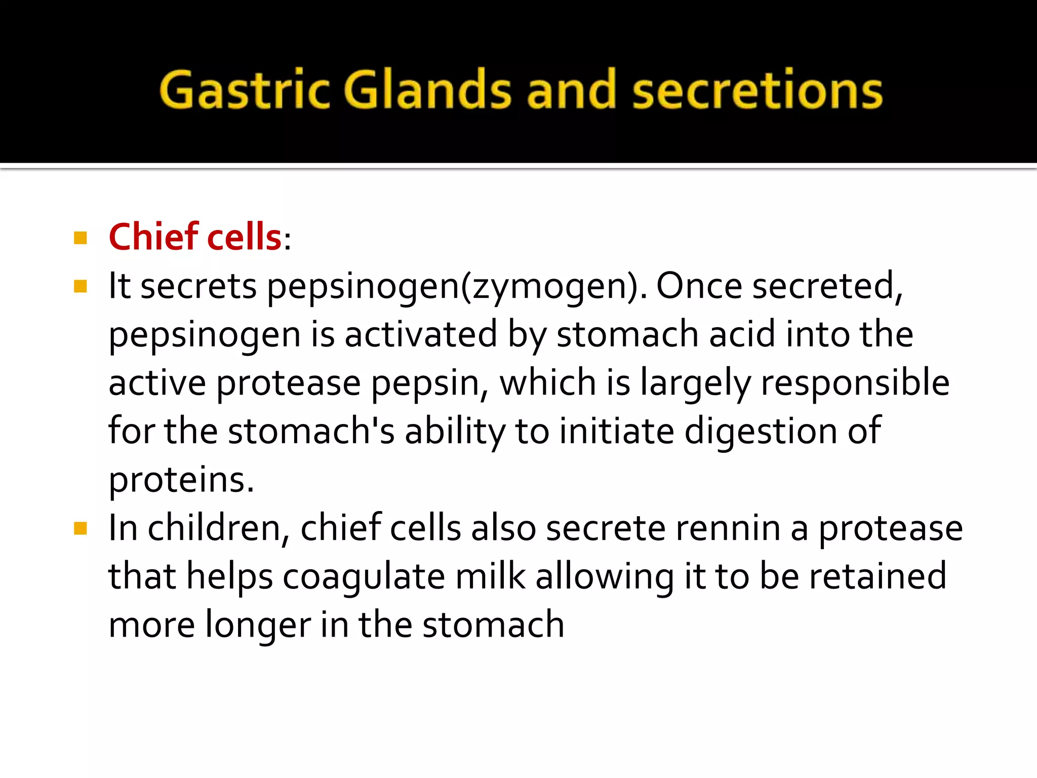 Gastric secretion &and its regulation | PPTX