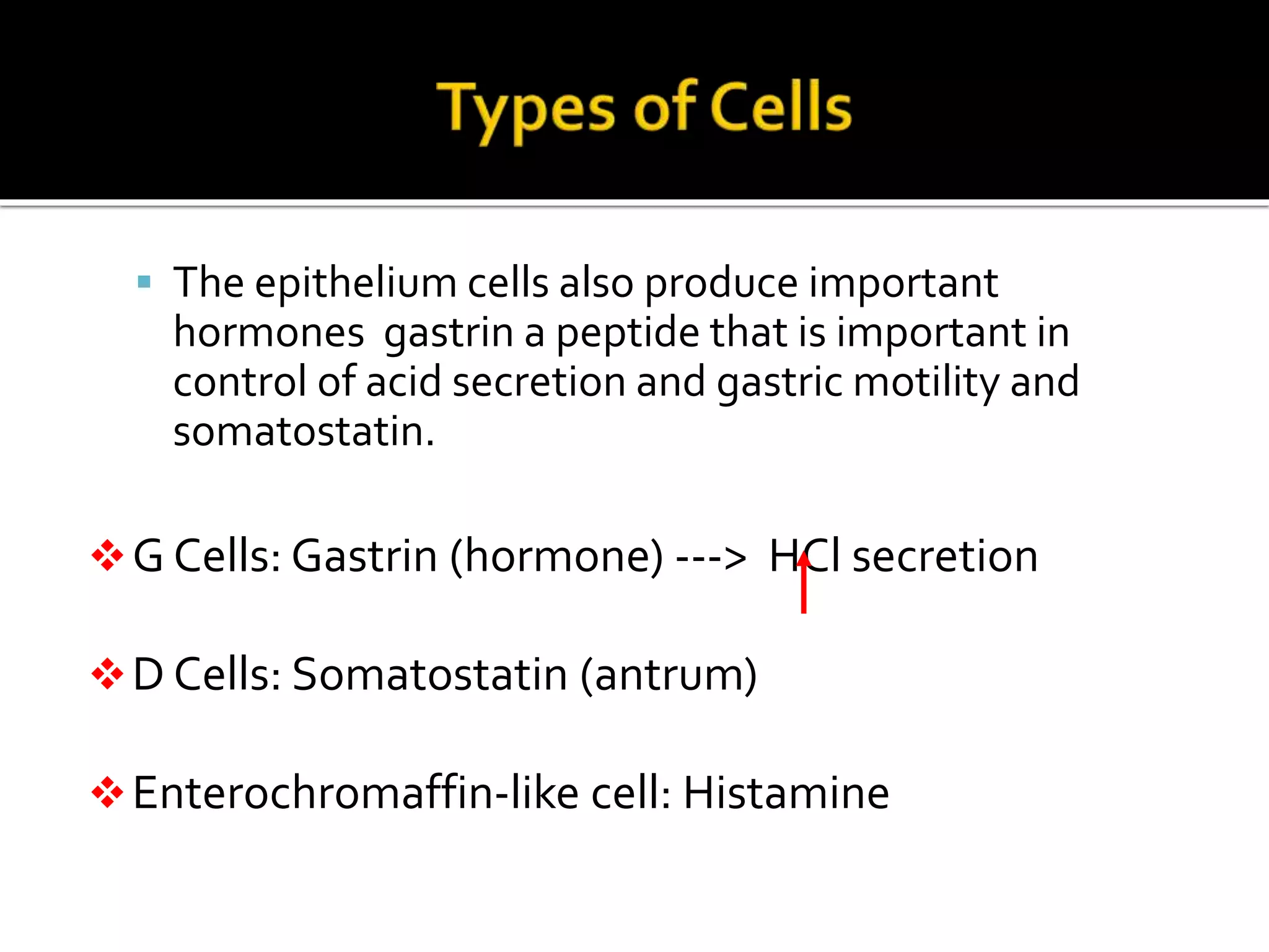 Gastric secretion &and its regulation | PPTX