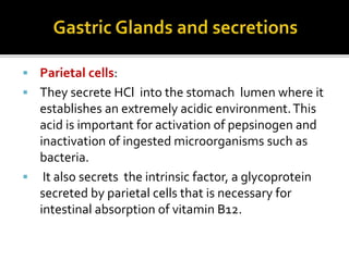 Gastric secretion &and its regulation | PPTX