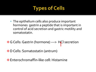 Gastric secretion &and its regulation | PPTX