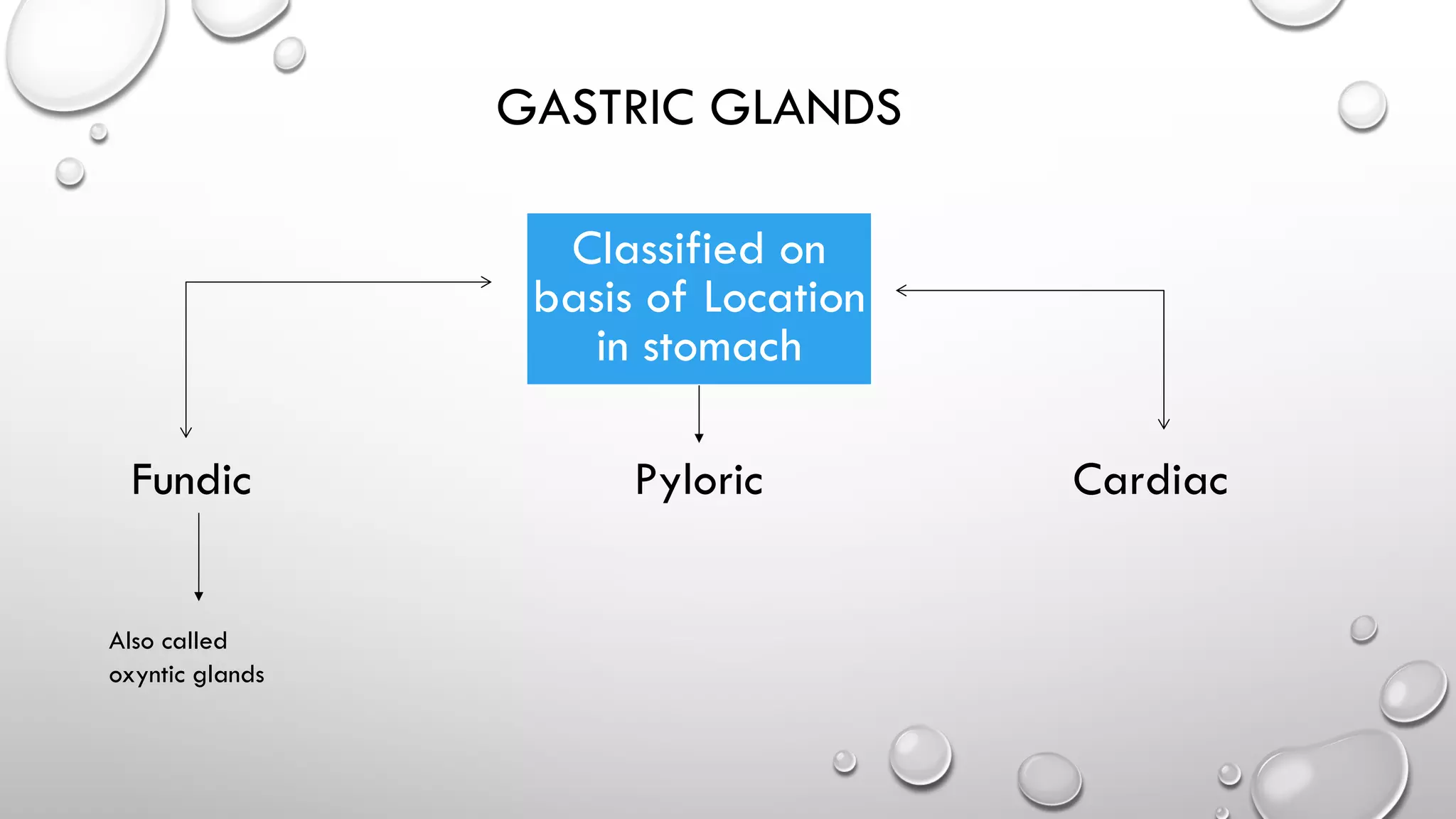 Gastric glands | PDF
