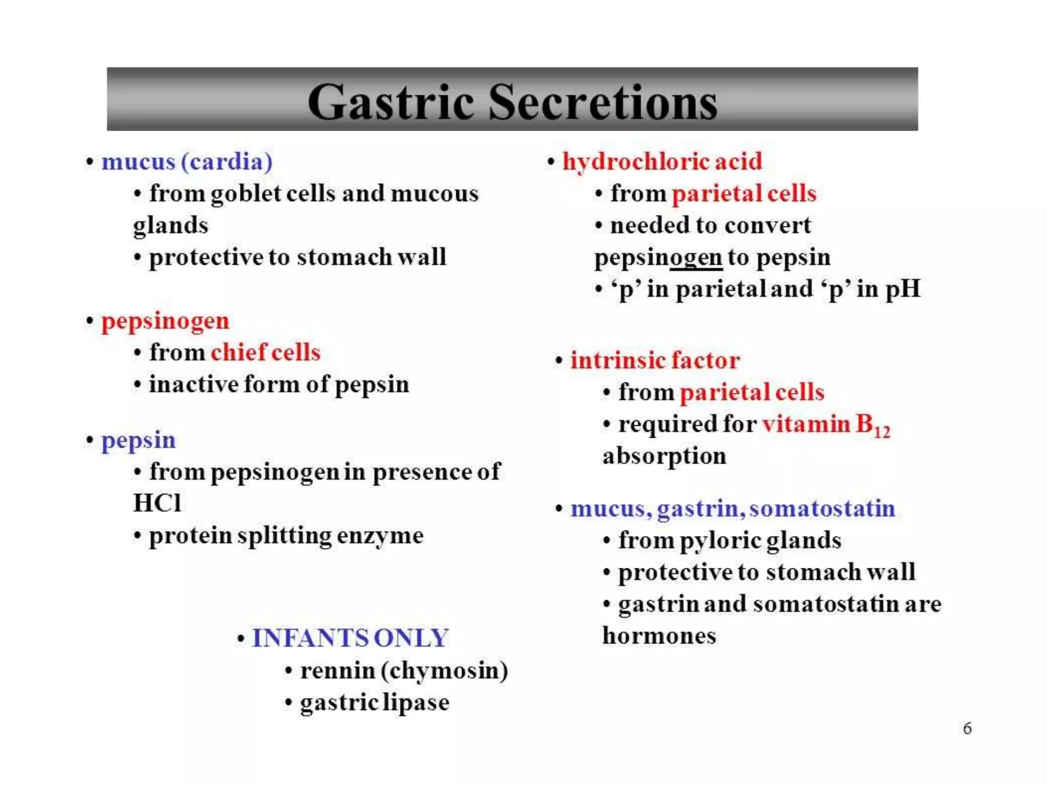 Gastric secretions notes for mlt students | PPTX