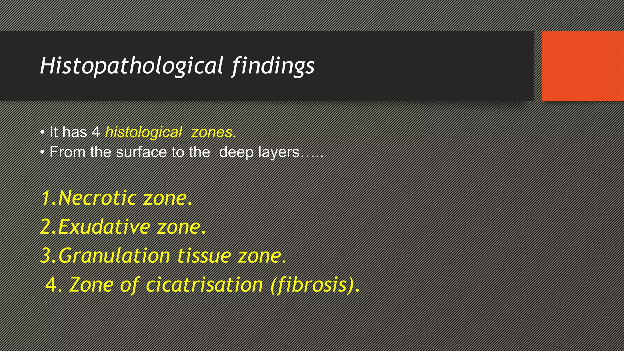 Gross and Histopathological findings & complications of GASTRIC ULCERS ...