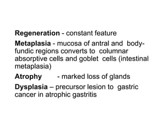Gastritis | PPT
