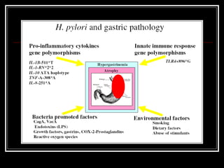 GASTRITIS.ppt