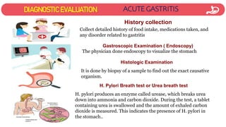 GASTRITIS.pptx | Digestive Disorders | Diseases and Conditions