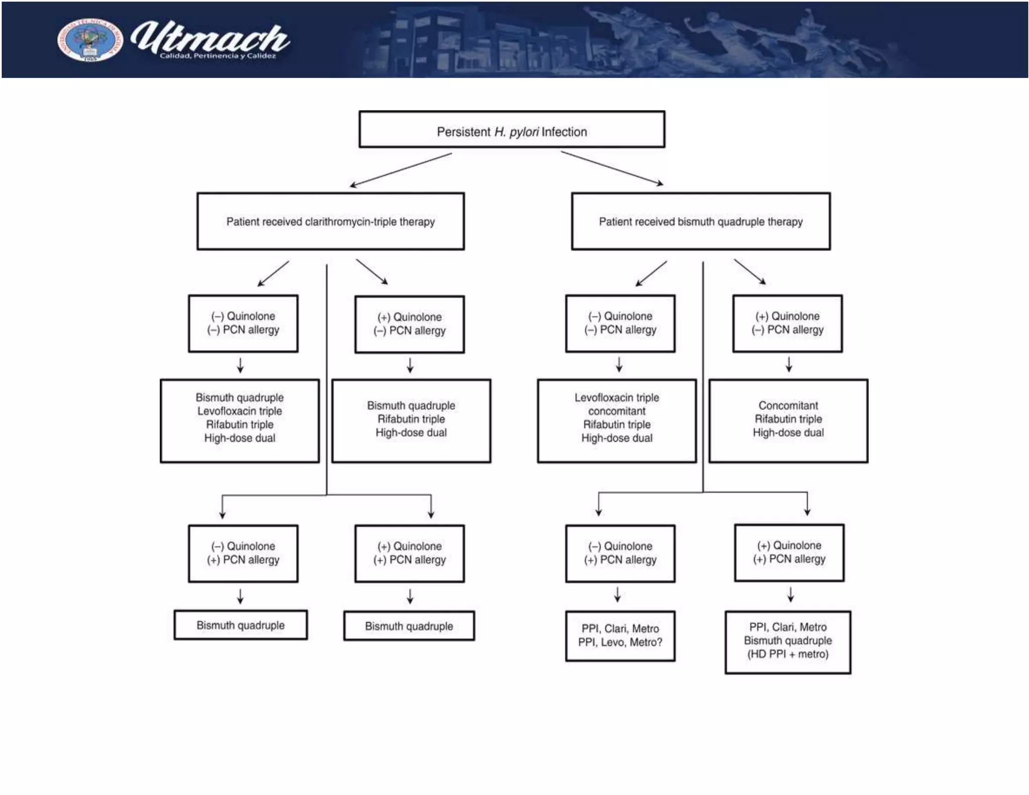 Gastritis algorithm | DOCX