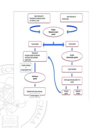 Gastritis algorithm | DOCX