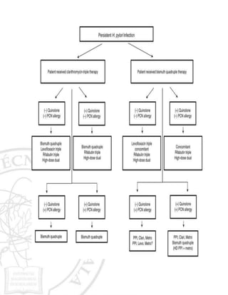 Gastritis algorithm | DOCX